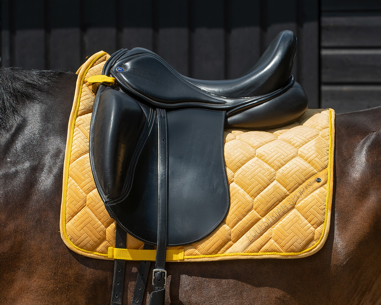 Sottosella Dressage "Summer Glow" Sunflower - IPPICA STORE